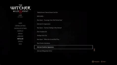 How To Get The Netflix Alternative Dandelion Appearance In Witcher 3