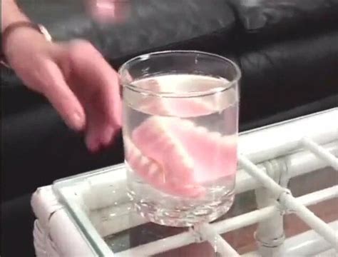 Free Toothless Granny Porn Videos Xhamster