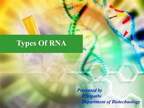Types Of Rna Pptx