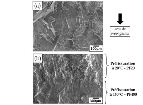A1 A Faciès De Rupture Caractéristique Dune Propagation En