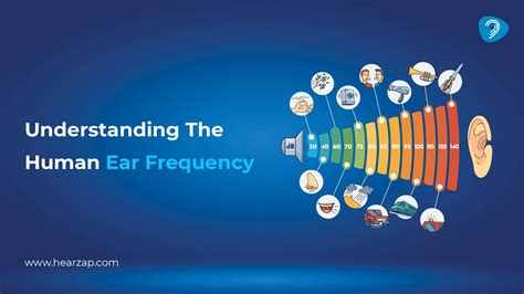 Human Ear Frequency Range Hearzap