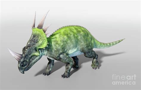 Artwork Of The Dinosaur Styracosaurus 3 By Mark Garlickscience Photo
