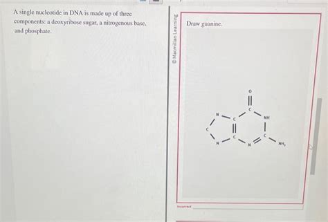 Solved A Single Nucleotide In Dna Is Made Up Of Three
