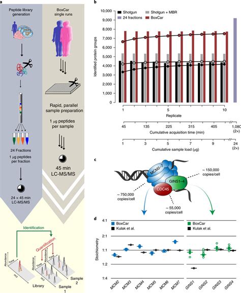 Library Approach For Deep Proteome Coverage In Boxcar Single Runs A