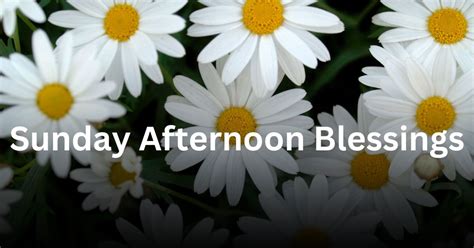Best Sunday Afternoon Blessings Images Quotes Prayers