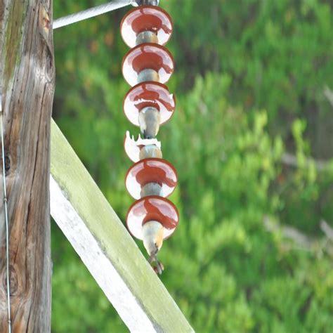 Sam Object Detection Dataset By Sinir Aglar