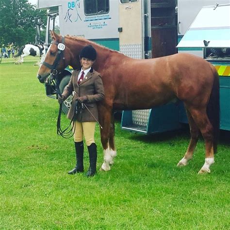 Making A Show Of Yourself Part 1 Types Of Ridden Showing Classes