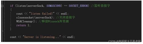 windows下的网络编程winsock csdn博客