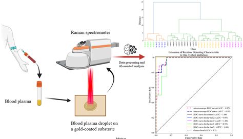 Journal Of Biophotonics Vol 18 No 1