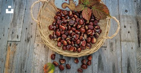 갈색 짠 바구니에 빨간색 둥근 과일 사진 Unsplash의 무료 가을 이미지