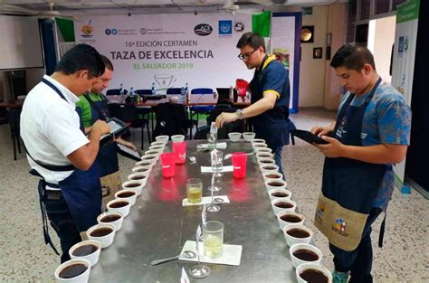 34 Muestras Pasan A Fase Final De Taza De Excelencia