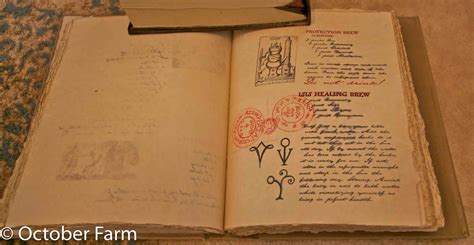 Practical Magic Book
