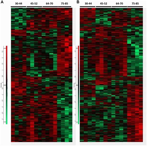 Proteostatic Modulation In Brain Aging Without Associated Alzheimers Disease And Age Related