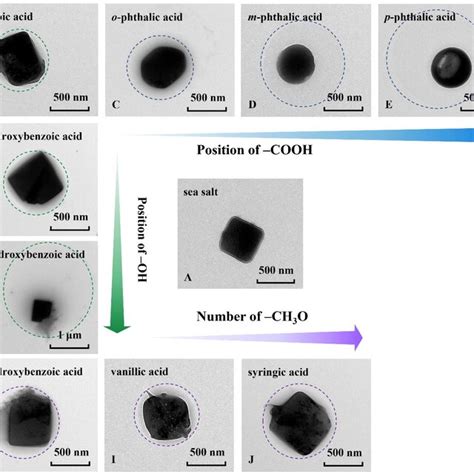 Particle Morphology Observed Using Tem Of Sea Salt A And Mixed