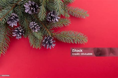 크리스마스 배경 가문비 나무 가지와 은빛 콘 공간을 복사합니다 0명에 대한 스톡 사진 및 기타 이미지 0명 겨울 계절 Istock
