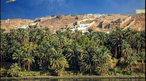 Exploring The Concept Of Sit My Face And Its Meaning Tcrascolorado