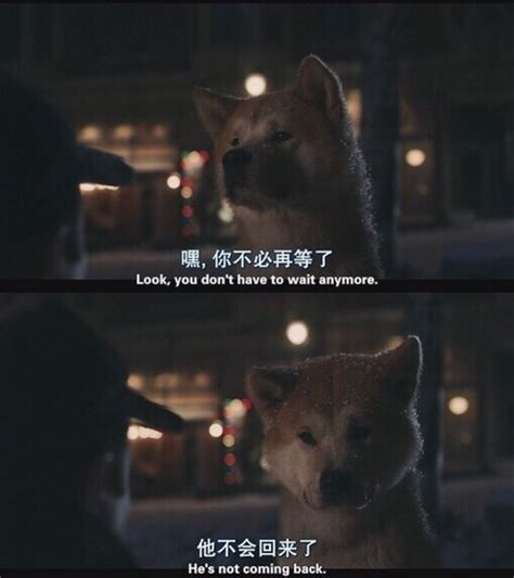 电影截图 堆糖美图壁纸兴趣社区