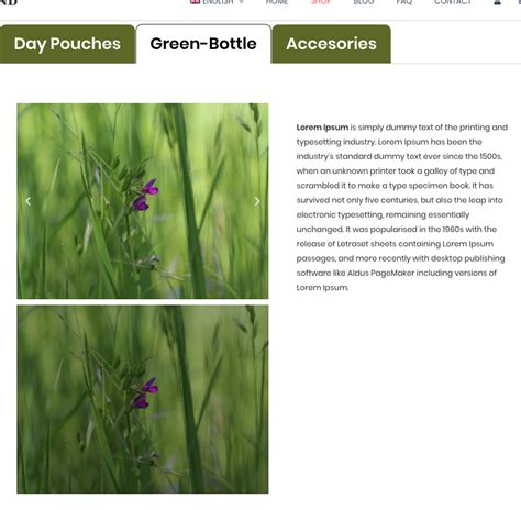 Swiper Slider Not Working In Multiple Tabs · Issue 11423 · Elementorelementor · Github