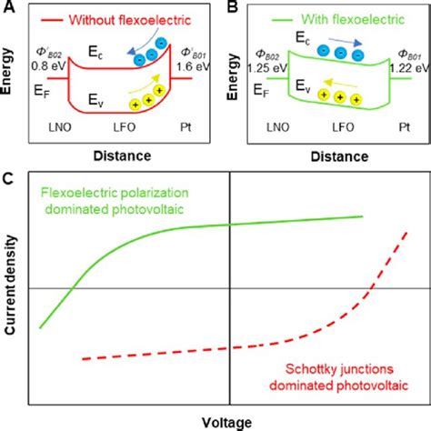 Flexoelectric Effect Caused By Strain Gradients Of Different Scales Download Scientific