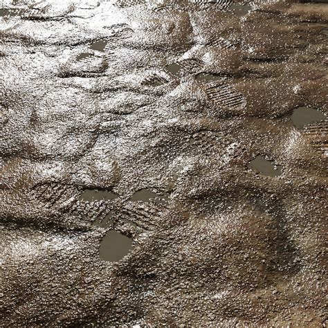 Directx Vs Opengl Normal Map Texturecan