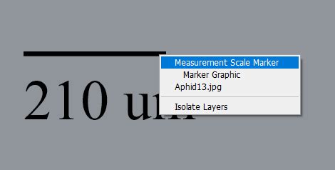 Solved Any Way To Automatically Link Scale Bar And Measur Adobe Product Community 10401652