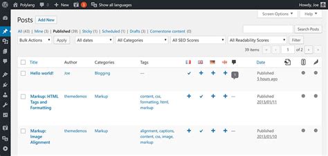 Polylang Vs Wpml Which Translation Plugin Should You Use