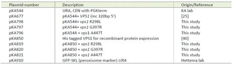 Table 2 Modelling Dynamin Disease Mutations In Yeast Vps1