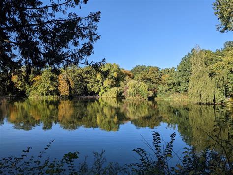 Android Kotlin Simple Example Of Recyclerview Databinding By