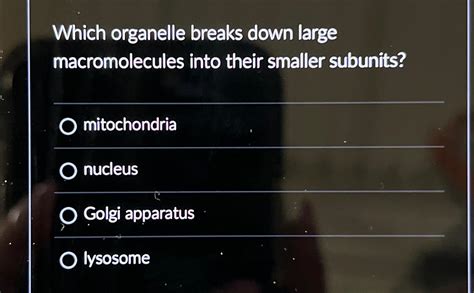 Solved Which Organelle Breaks Down Large Macromolecules Into