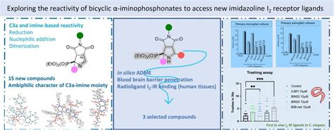 Exploring The Reactivity Of Bicyclic α Iminophosphonates To Access New Imidazoline I2 Receptor