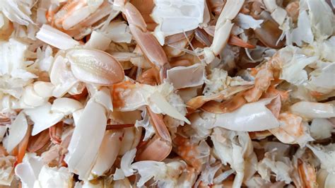 Crab Shell Batteries Cheap Sodium Ion Made From Waste