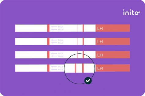 Your Complete Guide To Ovulation Testing Progression