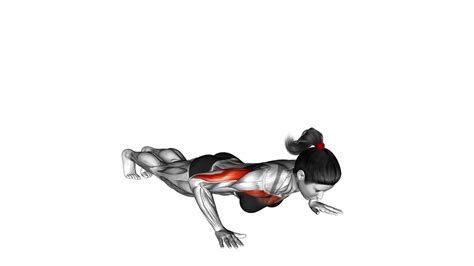 Push Up Female Ultimate Video Guide And Expert Tips