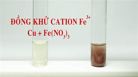 Fe Là Gì Trong Hóa Học Tính Chất Và ứng Dụng Của Sắt