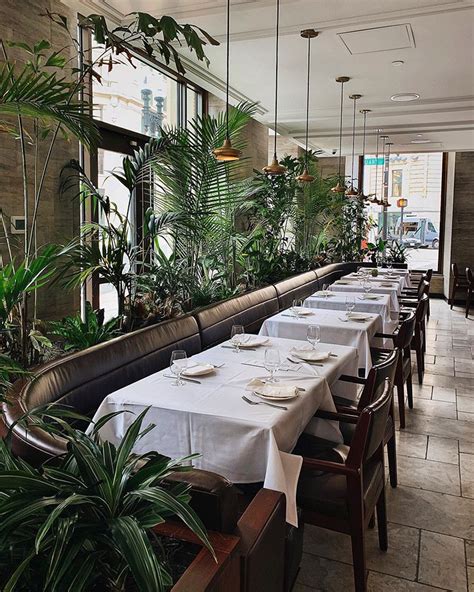 Urban Jungle Lunch Hangs Please Ty Flyfreenahita