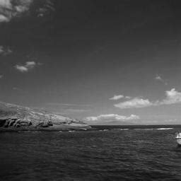 Solved Use Opencv C Perform The Following Four Training Chegg