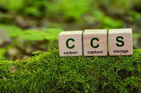 Symbol Ccs For Carbon Capture Storage Words Ccs On A Wood Cube On The
