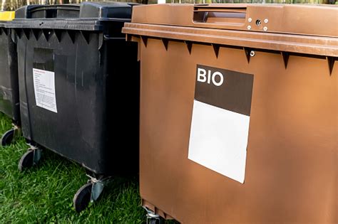 도시의 거리에 있는 검은색 파란색 노란색 녹색 쓰레기 재활용 쓰레기통 폐기물 분리 재활용 환경 개념 쓰레기를 분리하고 쓰레기를 분류하십시오 종이 유리 플라스틱으로 된 컬러