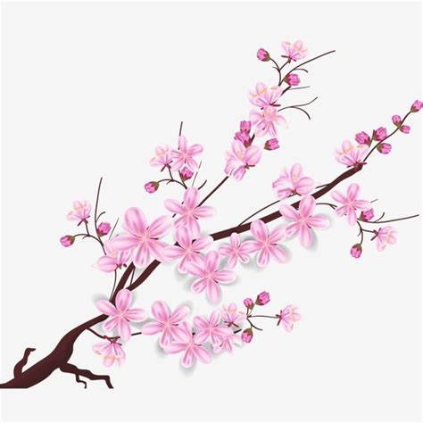 꽃 벚꽃 나무 가지와 수채화 사쿠라 프레임 배경 사쿠라 꽃 손으로 그린 Png 일러스트 및 벡터 에 대한 무료 다운로드 Pngtree Sakura