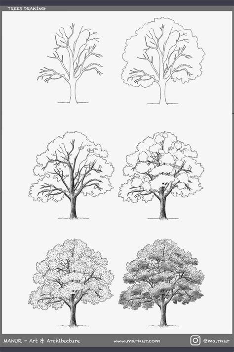How To Draw A Step By Step Tree How To Draw A Step By Step Tree