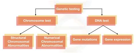 How Is Genetic Testing Done Explained