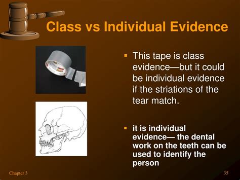 Ppt Chapter 3 Physical Evidence Powerpoint Presentation Free