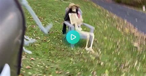 My Skeleton Did A Thing Album On Imgur