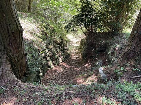 福地氏城の写真主郭土塁穴蔵虎口 ルパン4世さん 攻城団