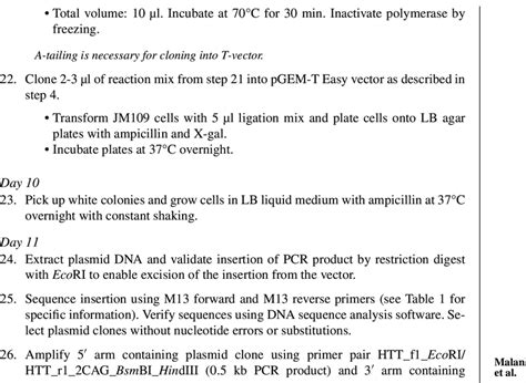 Scheme Of Building Up The Cag Repeat Tract By Golden Gate Cloning Download Scientific Diagram