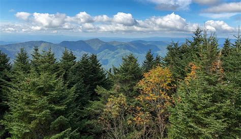 The Highest Point East Of The Mississippi Reopens For Hiking After
