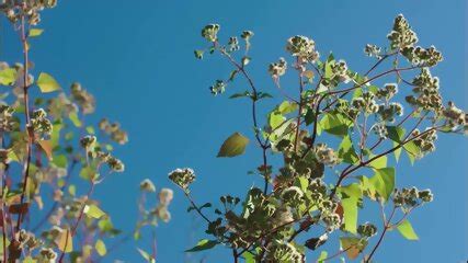 Vixen Kenna James Has Unbelievable Passionate Sex