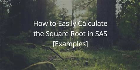 How To Easily Calculate The Square Root In SAS Examples