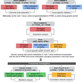 Workflow Of The Study Download Scientific Diagram