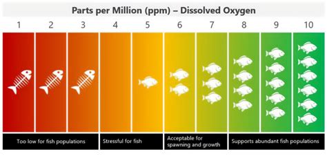 What Affects Dissolved Oxygen Levels In Water Atlas Scientific